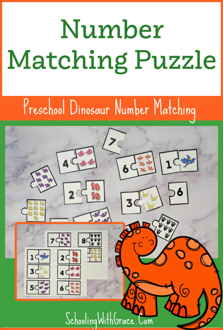 Dinosaur Number Matching Puzzle